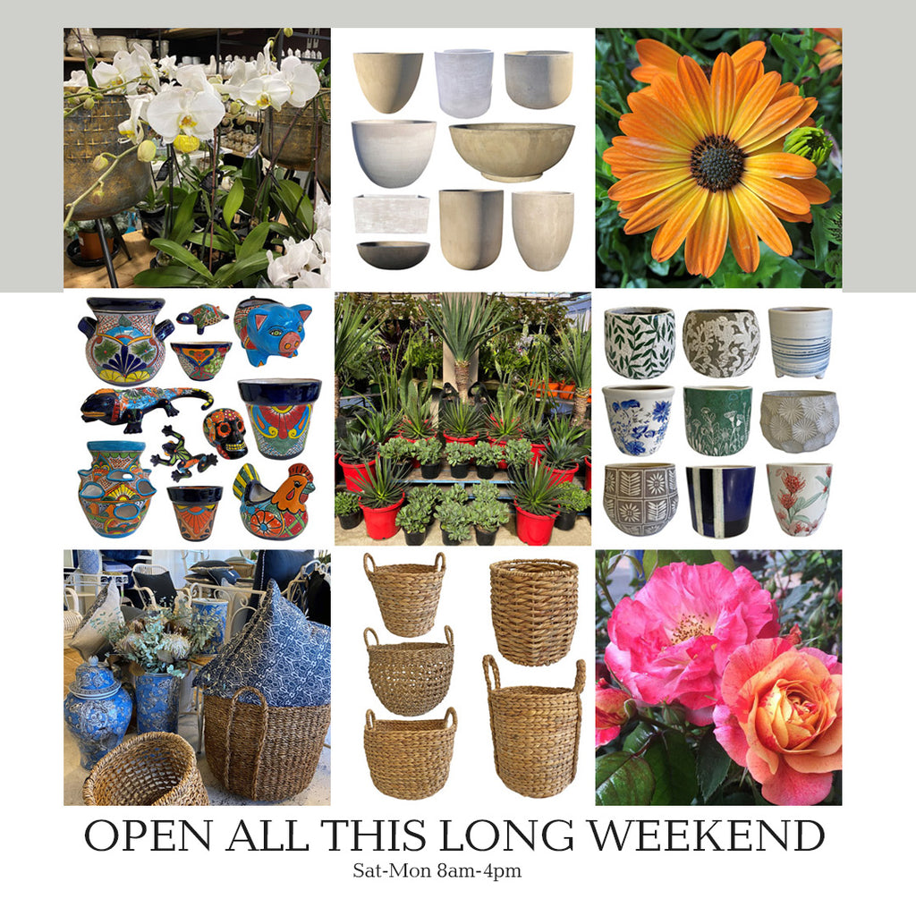 Open All Long Weekend – Poppy's Home and Garden