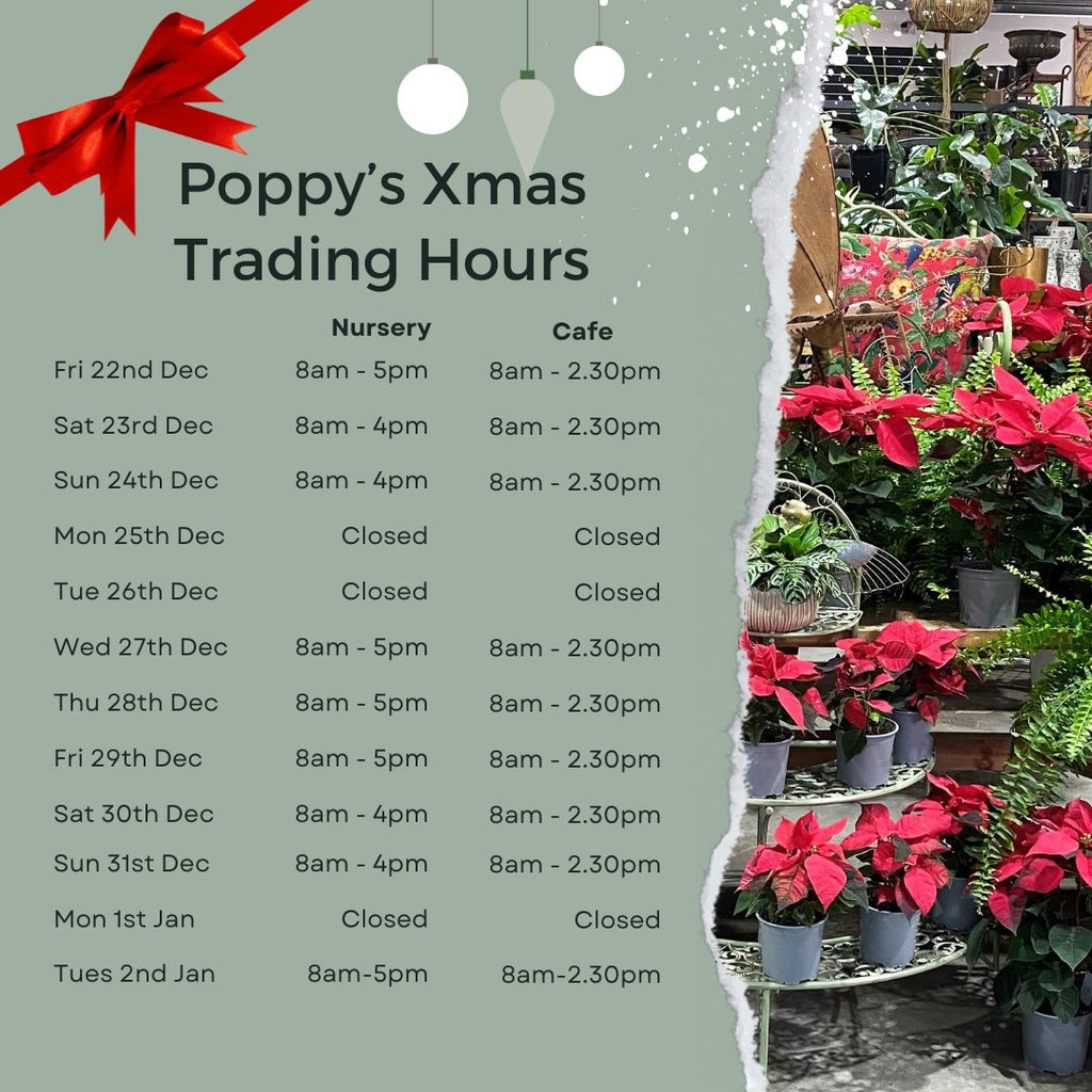 Poppy's Xmas Trading Hours – Poppy's Home and Garden